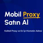 Sağlam Proxy